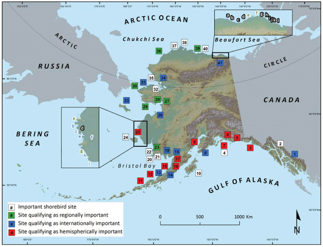 Nonbreeding Sites – Alaska Shorebird Group